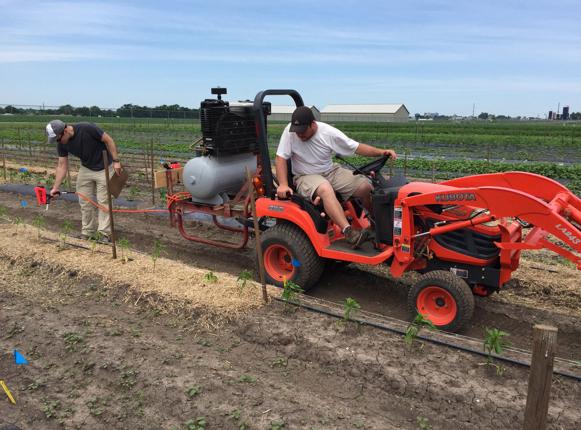 University of Minnesota researchers are blasting weeds with corncob ...