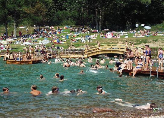 Could Webber Park be the site of first public natural swimming pool in ...