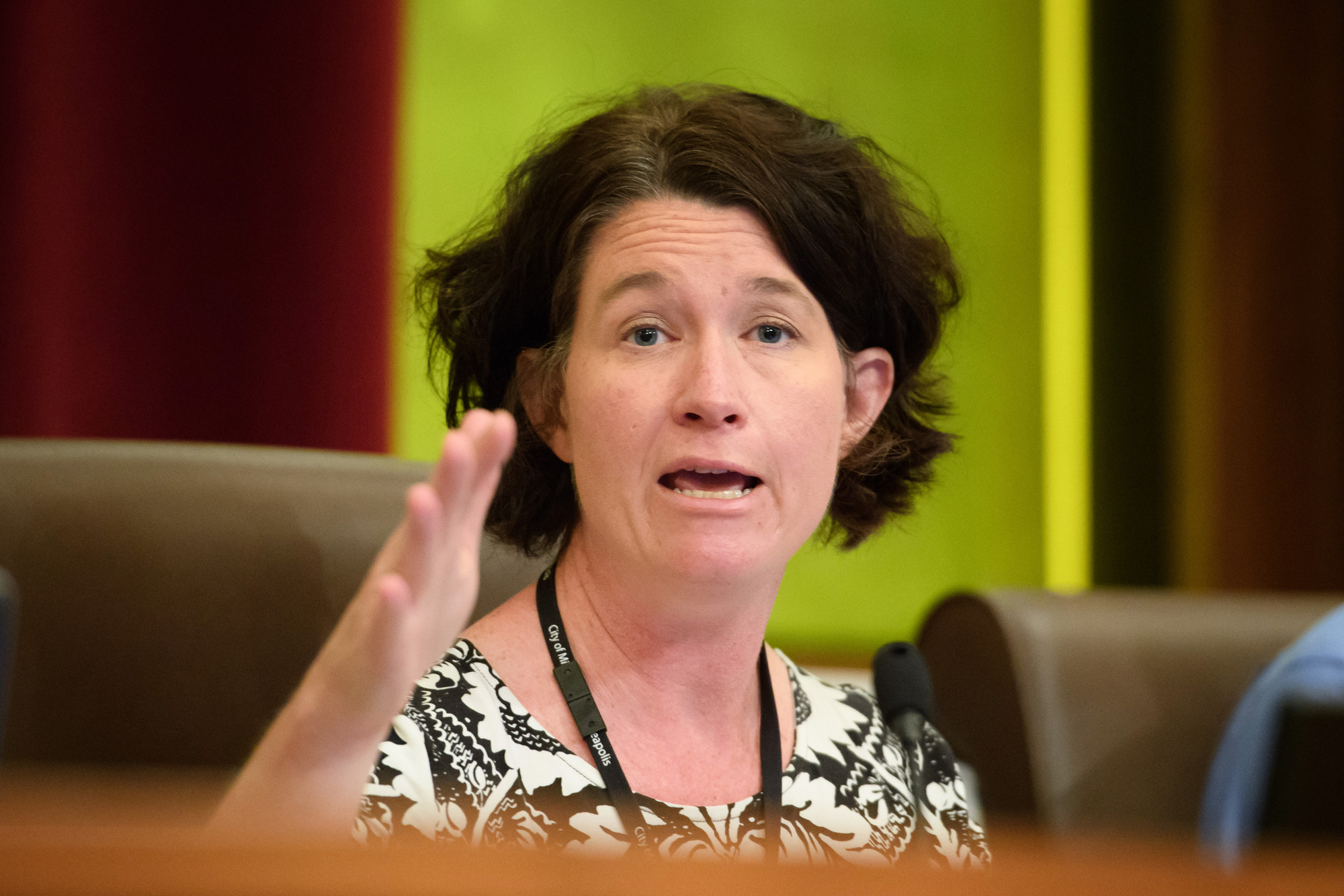 Elizabeth Glidden won't seek re-election to Minneapolis City Council