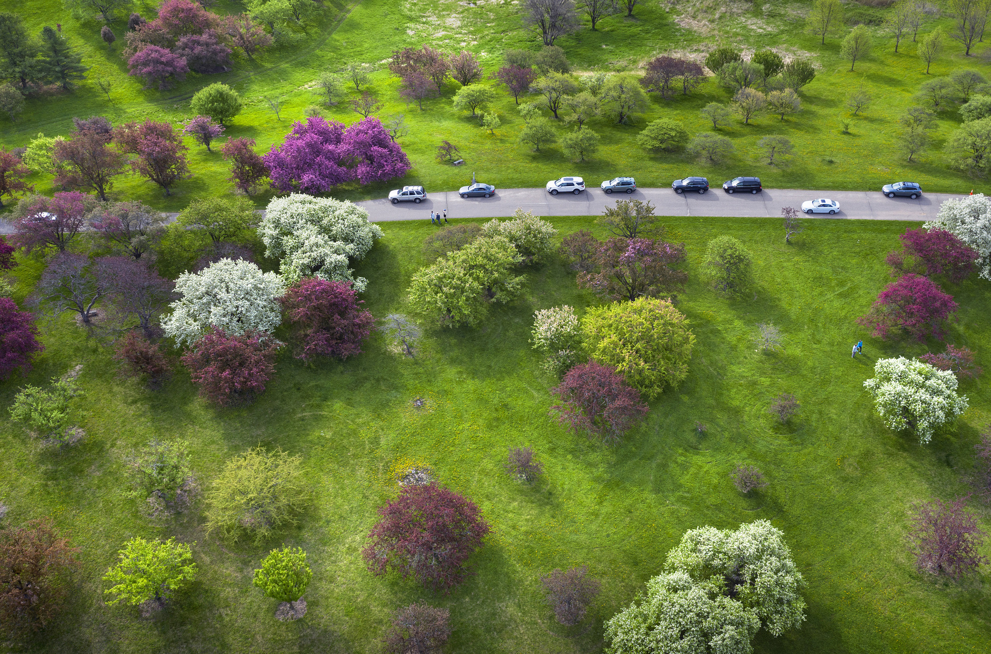 3 Minnesota road trips to enjoy beautiful spring scenery