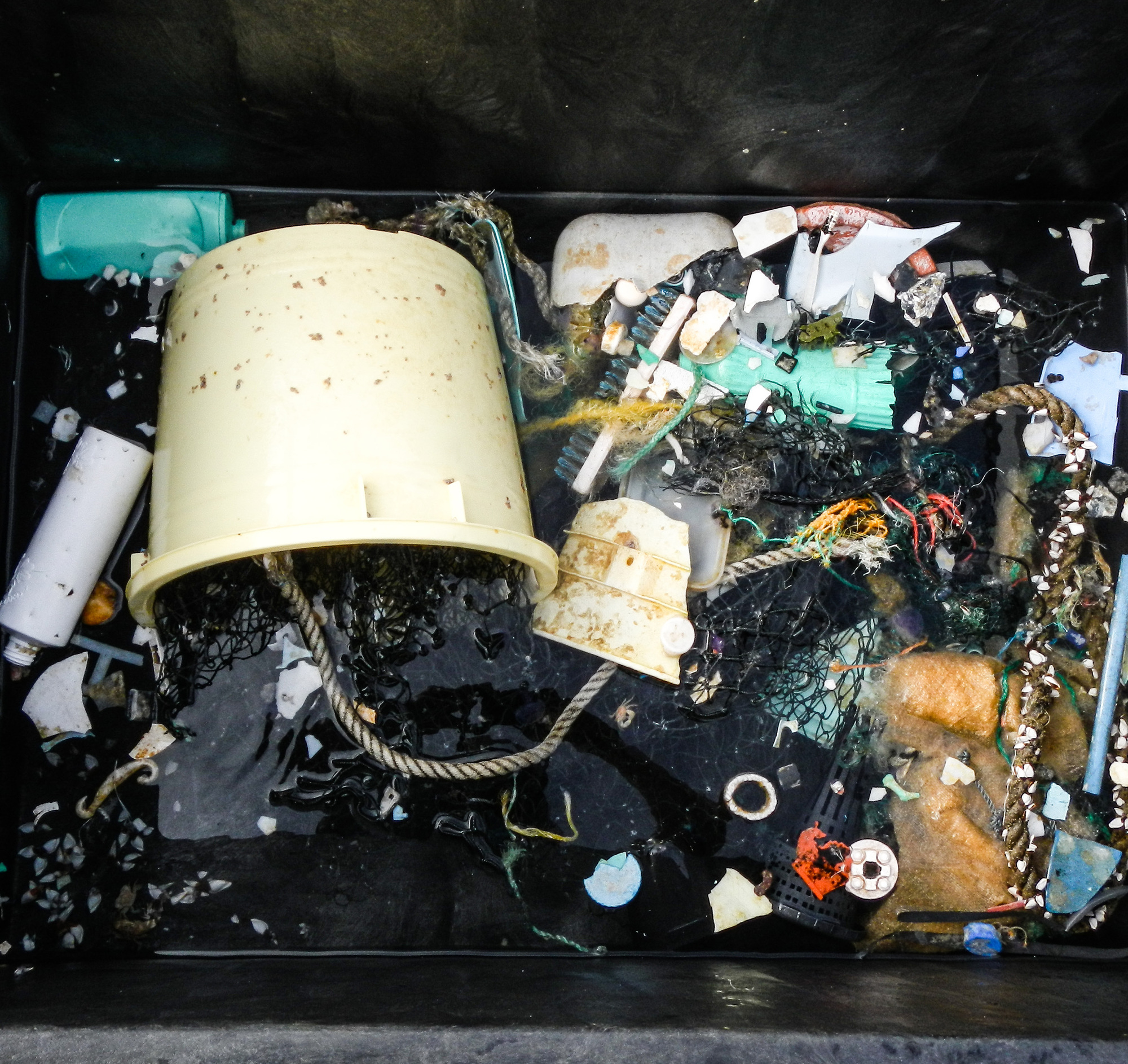 My close encounter with the Great Pacific Garbage Patch