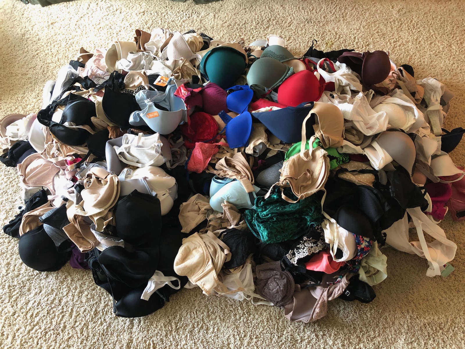 Minneapolis woman collected thousands of bras — then gave them away to ...