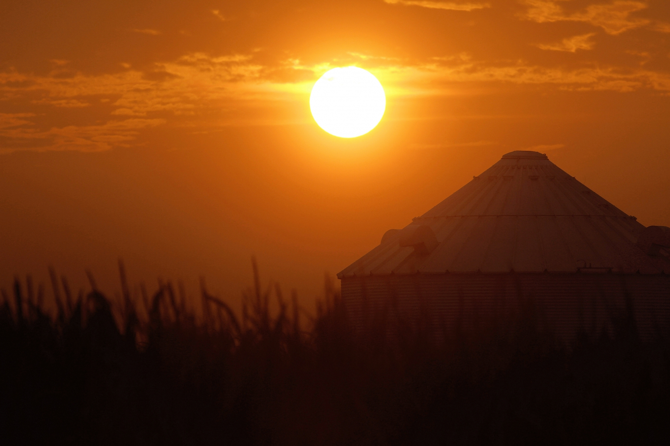 How long can you live without sunlight?