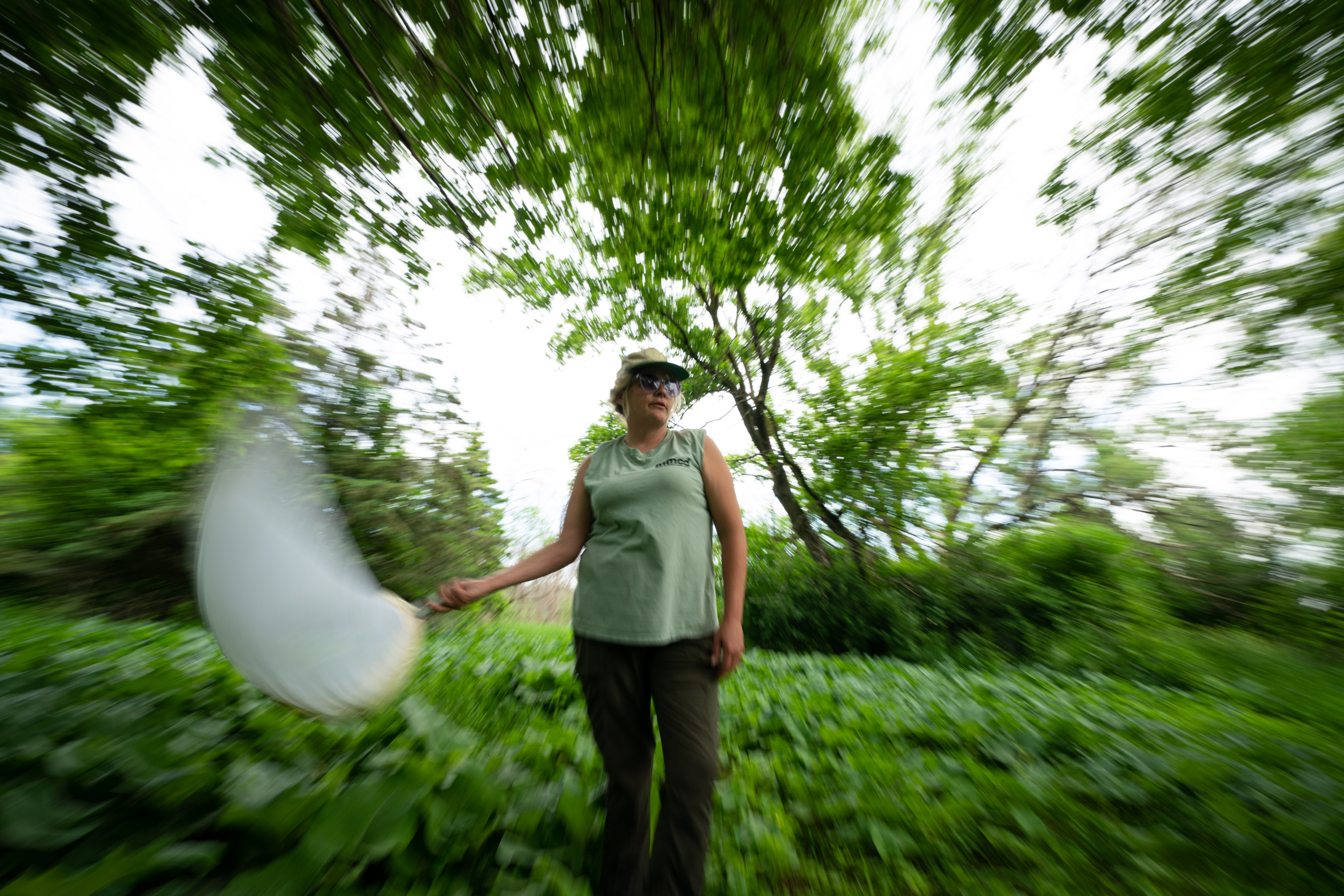 After record snow and flooding, Minnesota mosquito season is here to stay