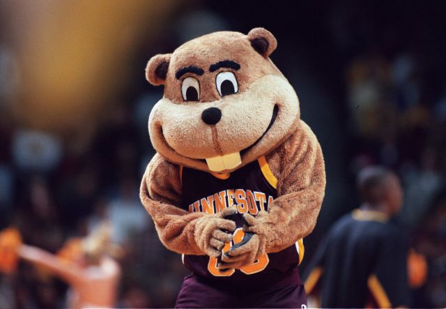 Rodent rage: Fan punches Goldy Gopher