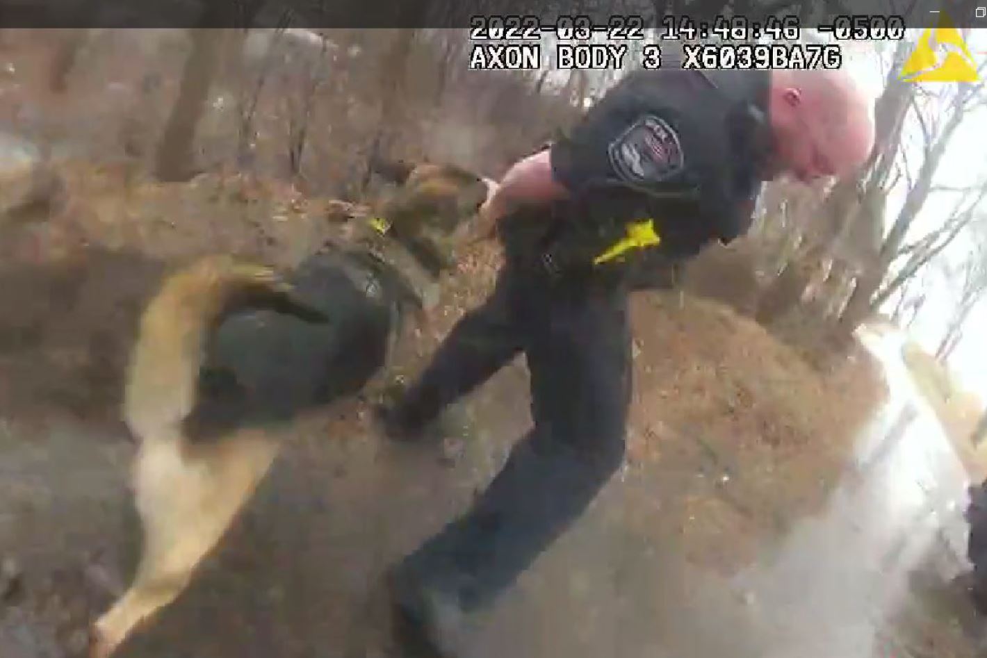 Hennepin County K-9 bit, infected Champlin police officer during ...