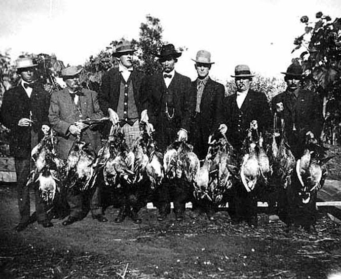 Anderson: Duck hunting club reaches 101st year but waterfowl more scarce