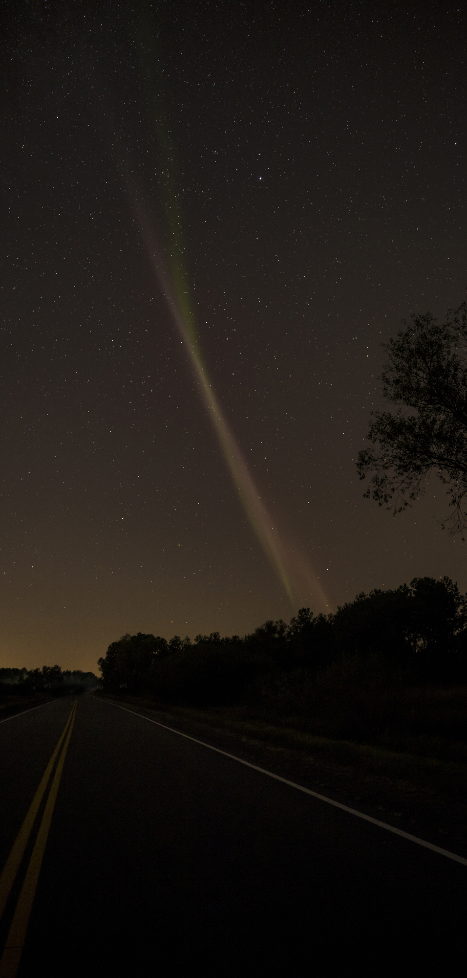 Meet Steve, a sky phenomenon coming into its own