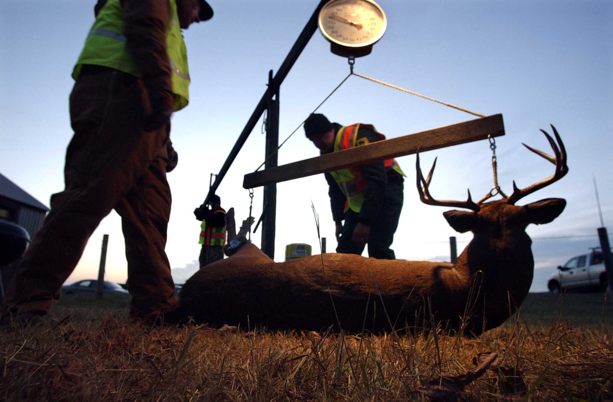 Minnesota eases crossbow regulations, makes killing deer easier — just ...