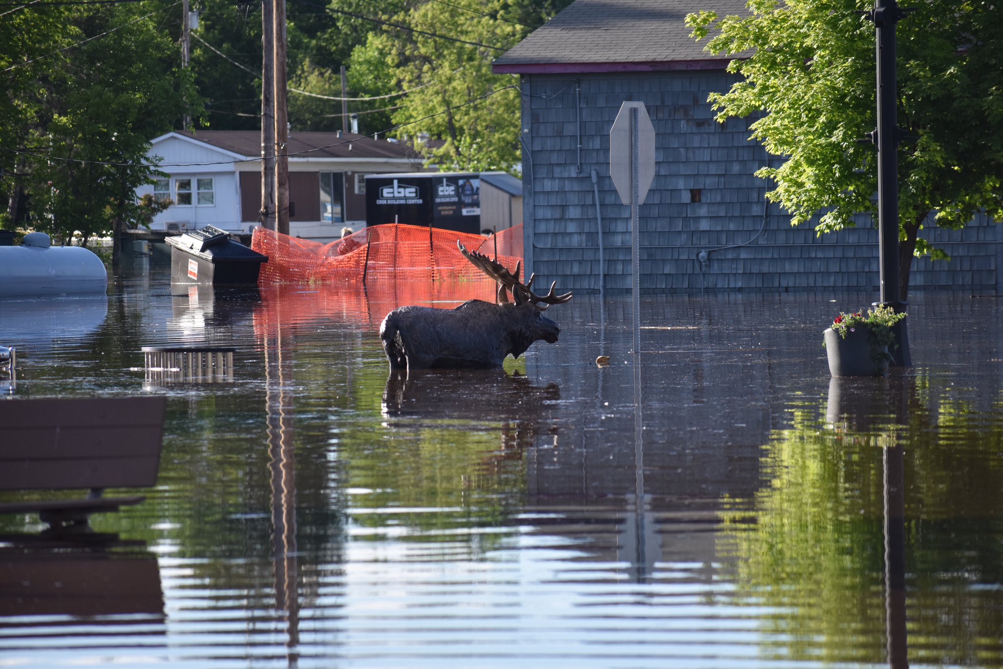 Flooding forces northeastern Minnesota town to ‘a standstill’