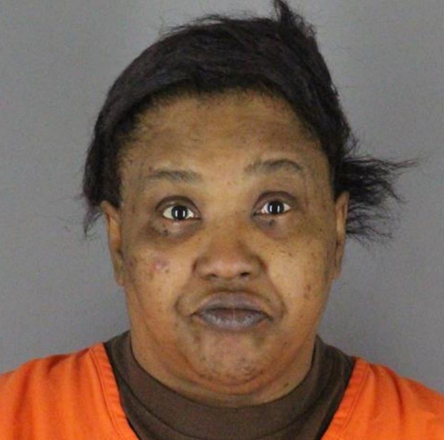 Nearly 5-year prison term for woman whose fraud scheme cost Minnesota's ...