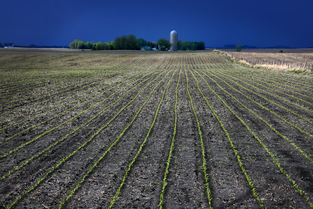 Minnesota farms are growing in size, shrinking in number