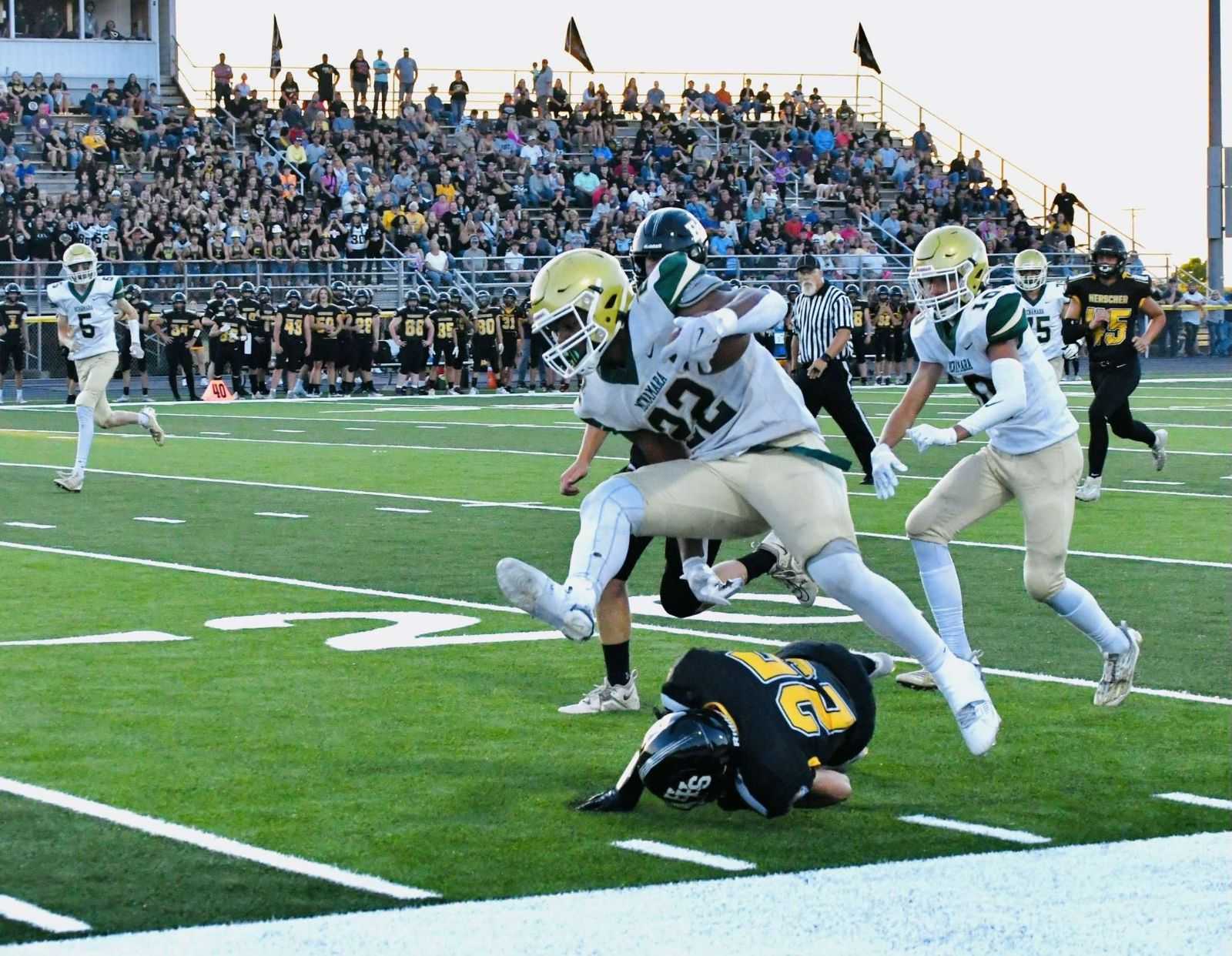 Gophers running back recruiting pipeline keeps humming with Jaydon ...