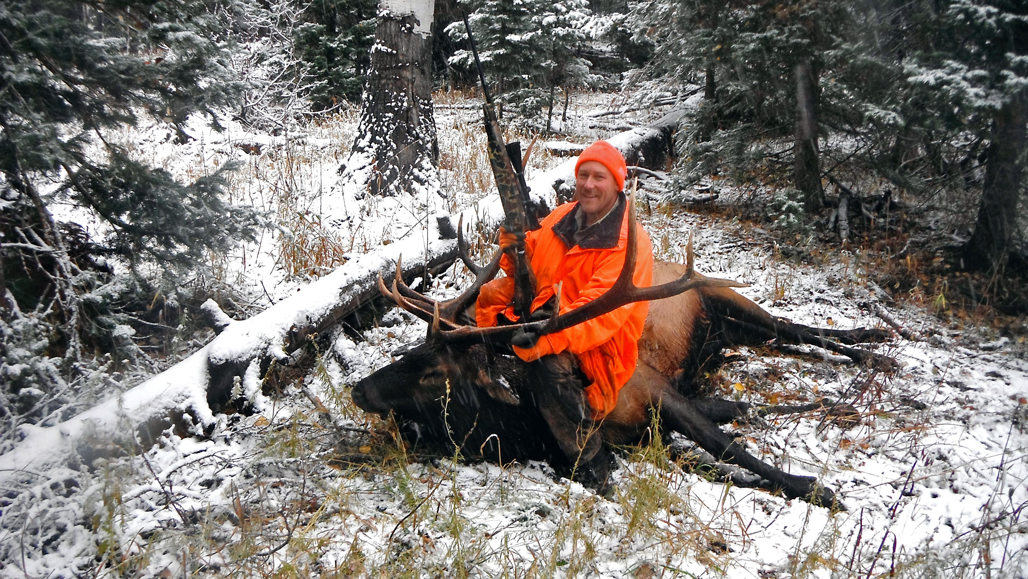 Anderson: Minnesotans are winning at elk out West