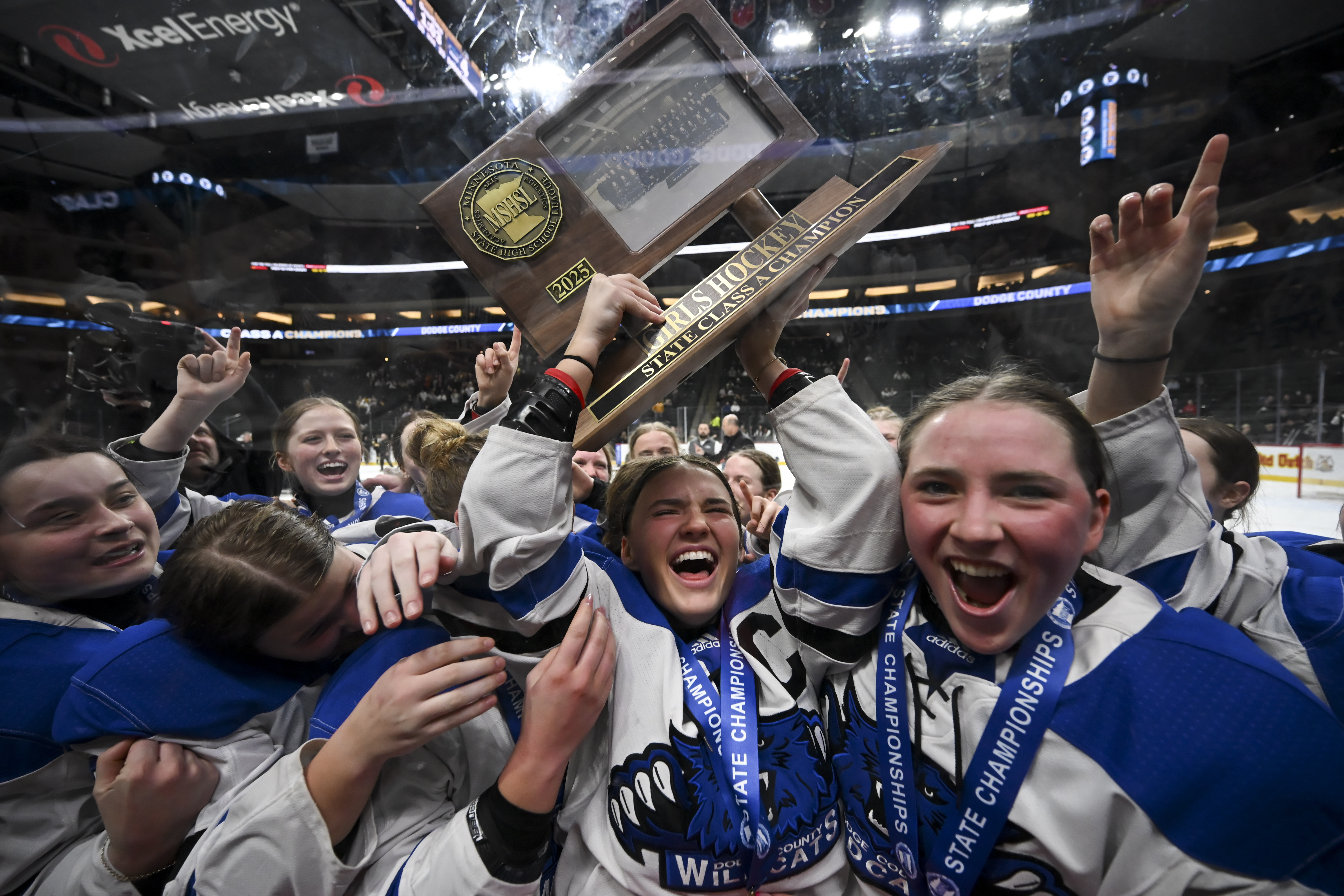 Dodge County wins Class 1A girls hockey title in overtime against ...