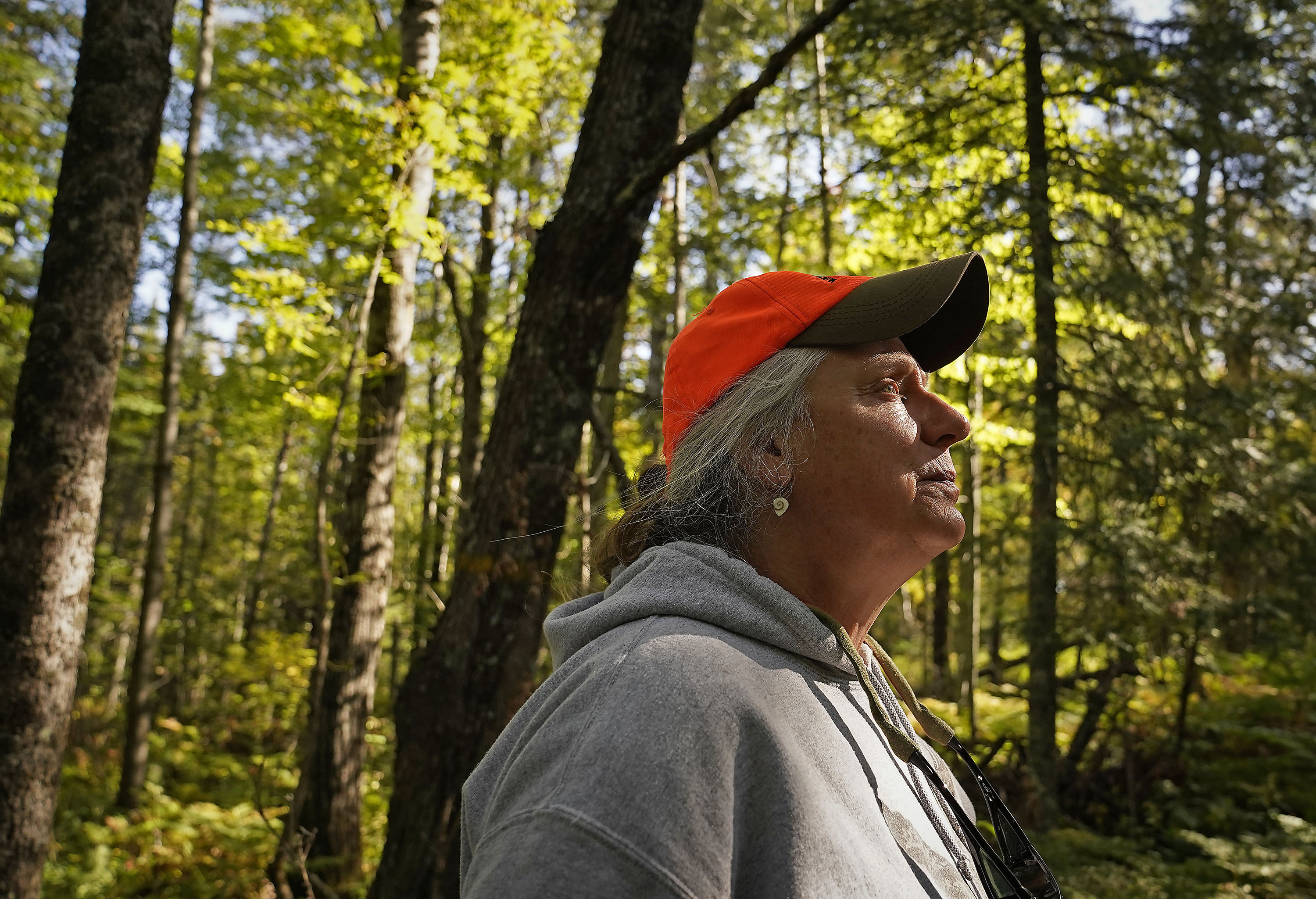 Minnesota DNR logs a failure in its handling of fish and wildlife land ...