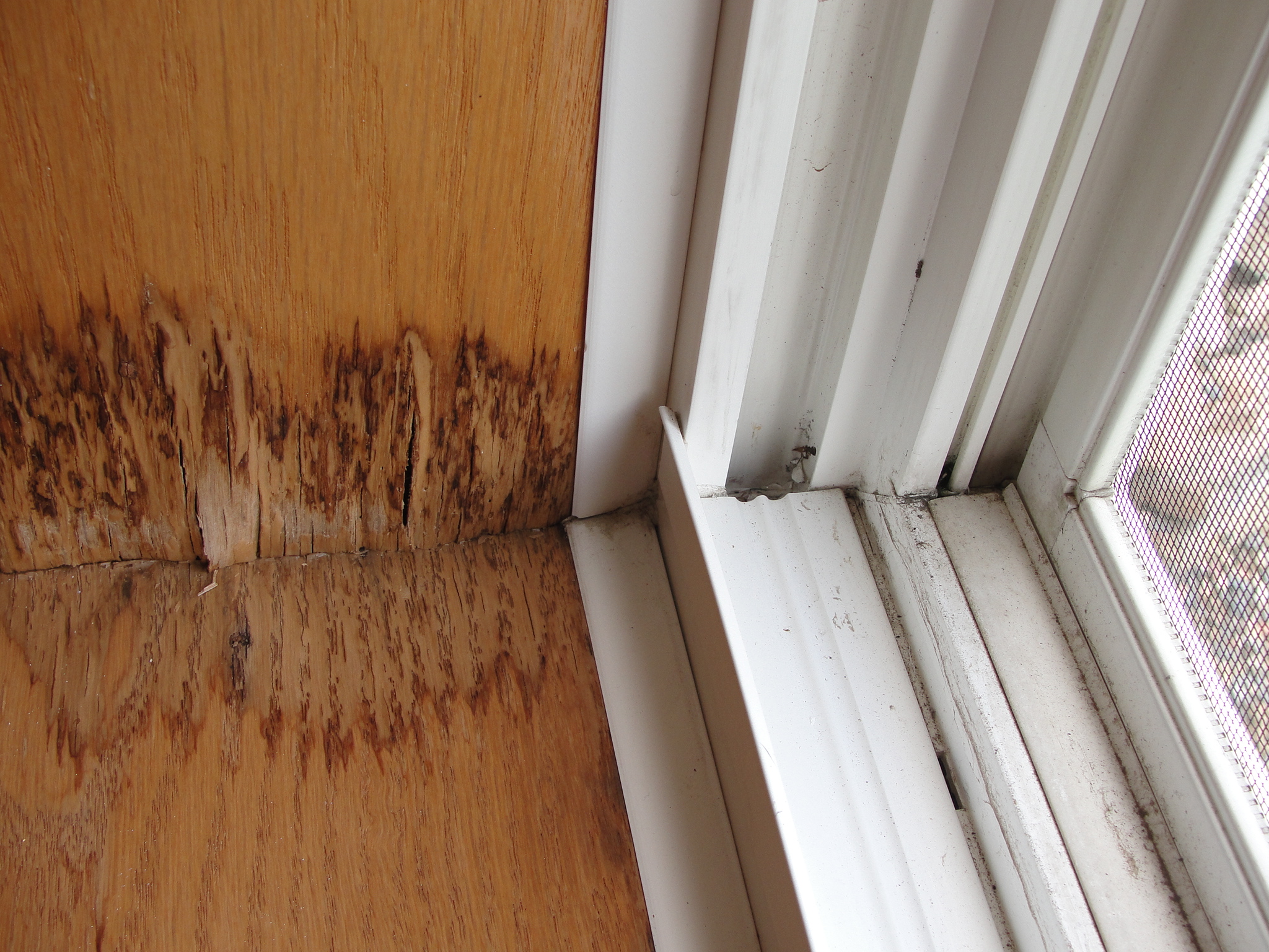 How to identify cause of window stains
