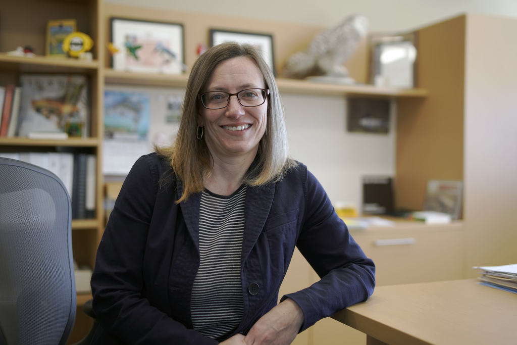 DNR Commissioner Sarah Strommen: 'Virtually no scenario' in which the ...