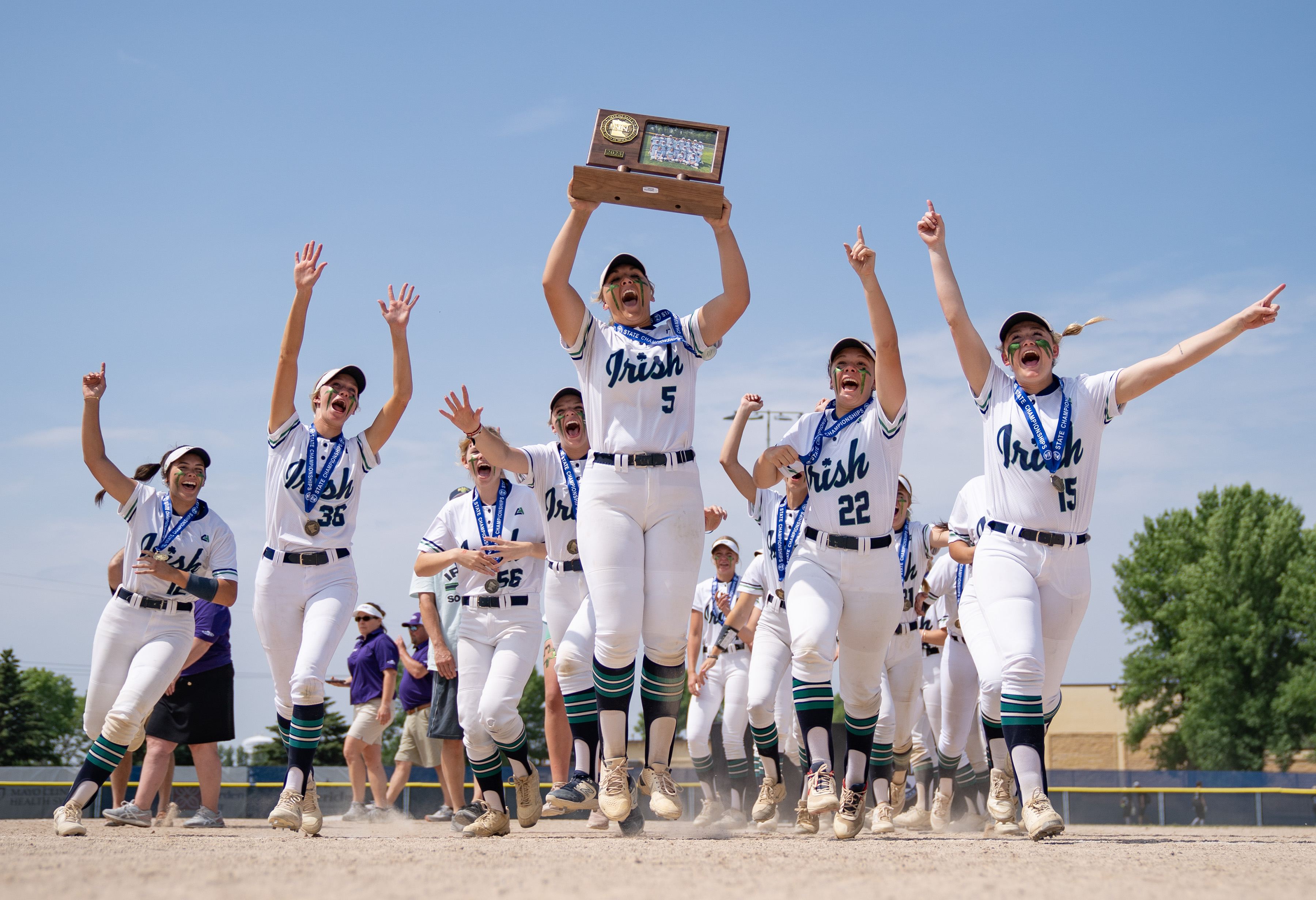 Rosemount achieves softball perfection with victory over Forest Lake ...