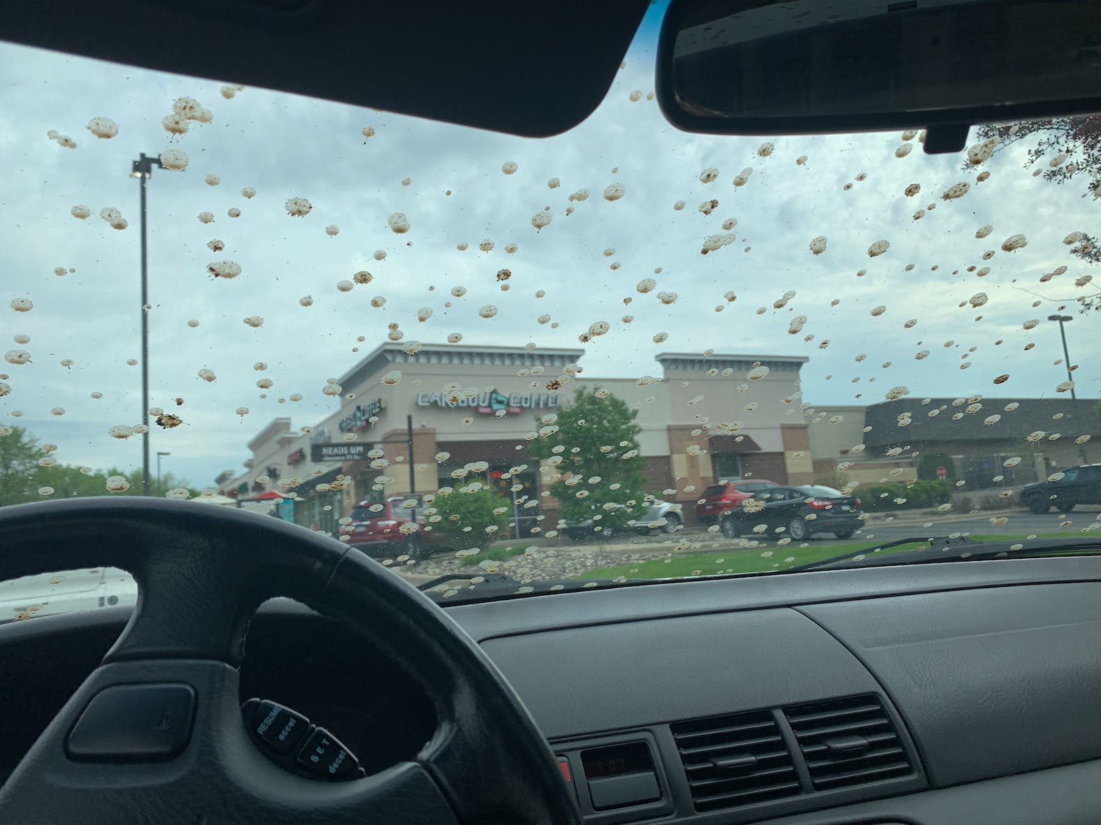 The spring 'poop rain' remains a mystery, as Angie Craig pushes for an ...