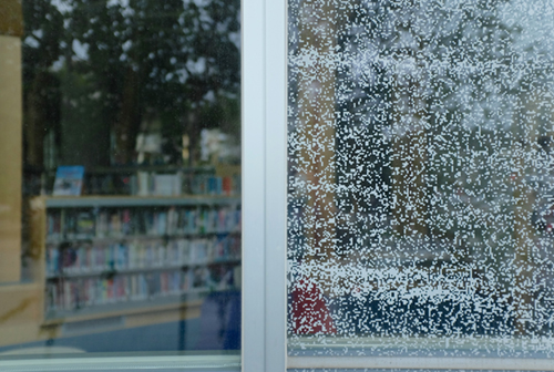 Fritted glass, example