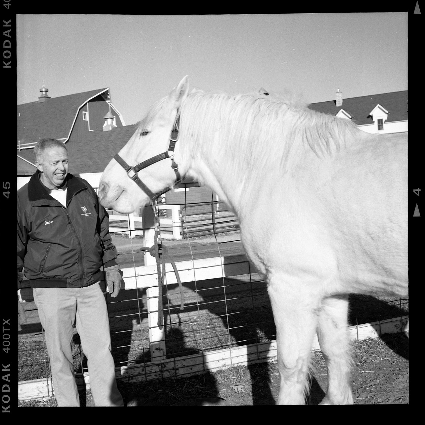 Dean Treangen takes care of the horses