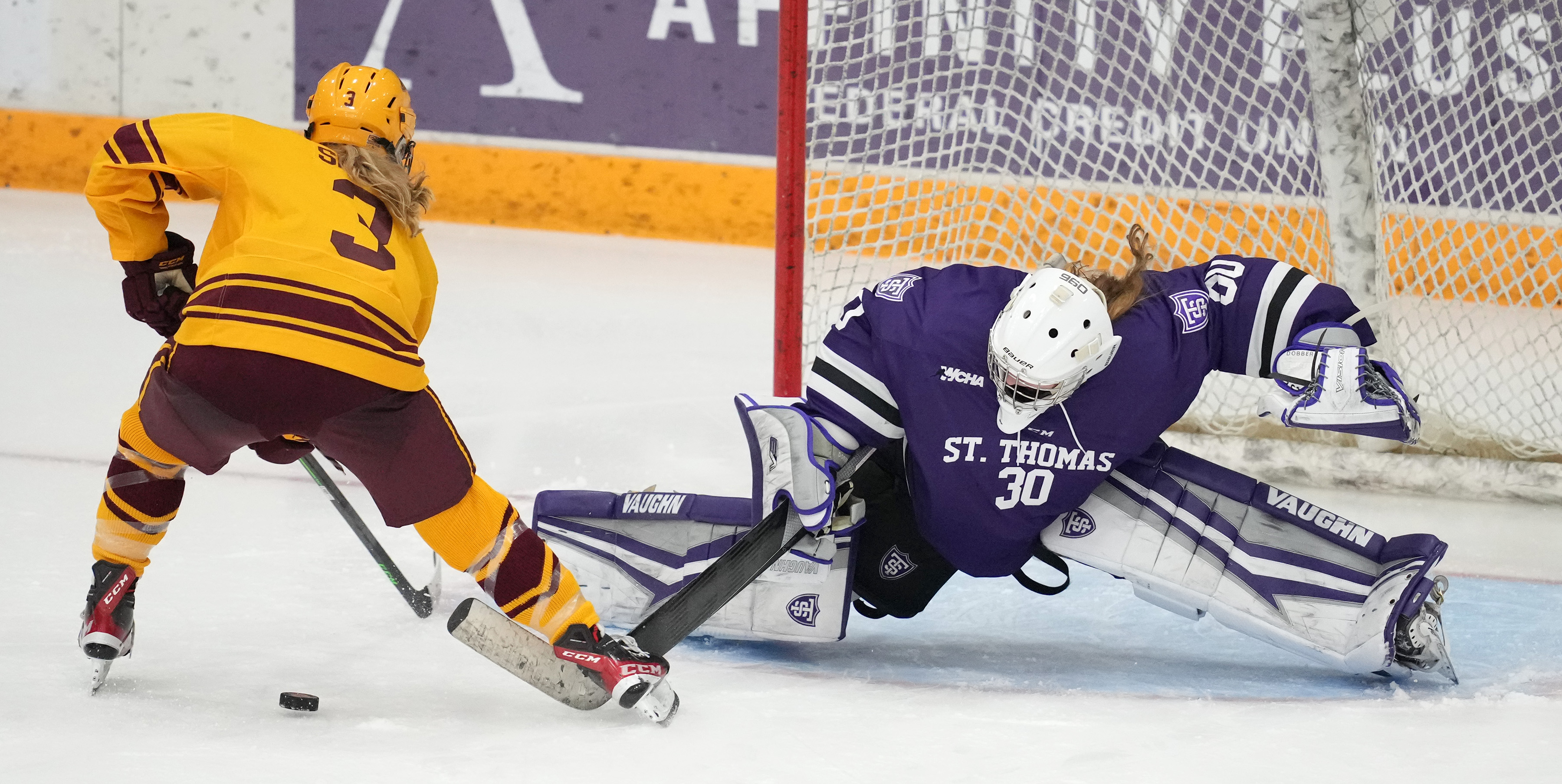 St. Thomas plans on-campus ice arena, new baseball/softball complex