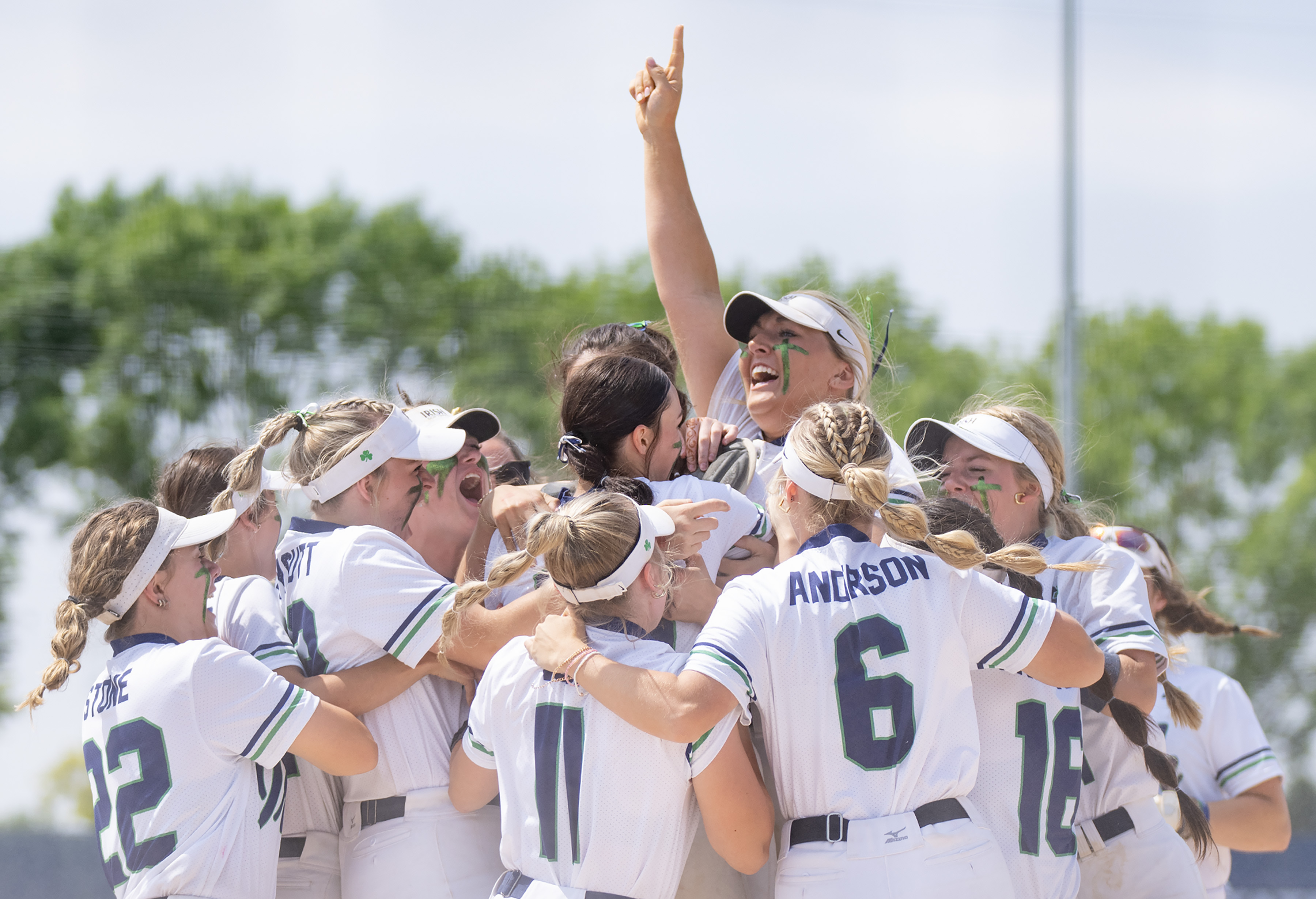 Rosemount, for making its softball destiny a reality, is the All-Metro ...