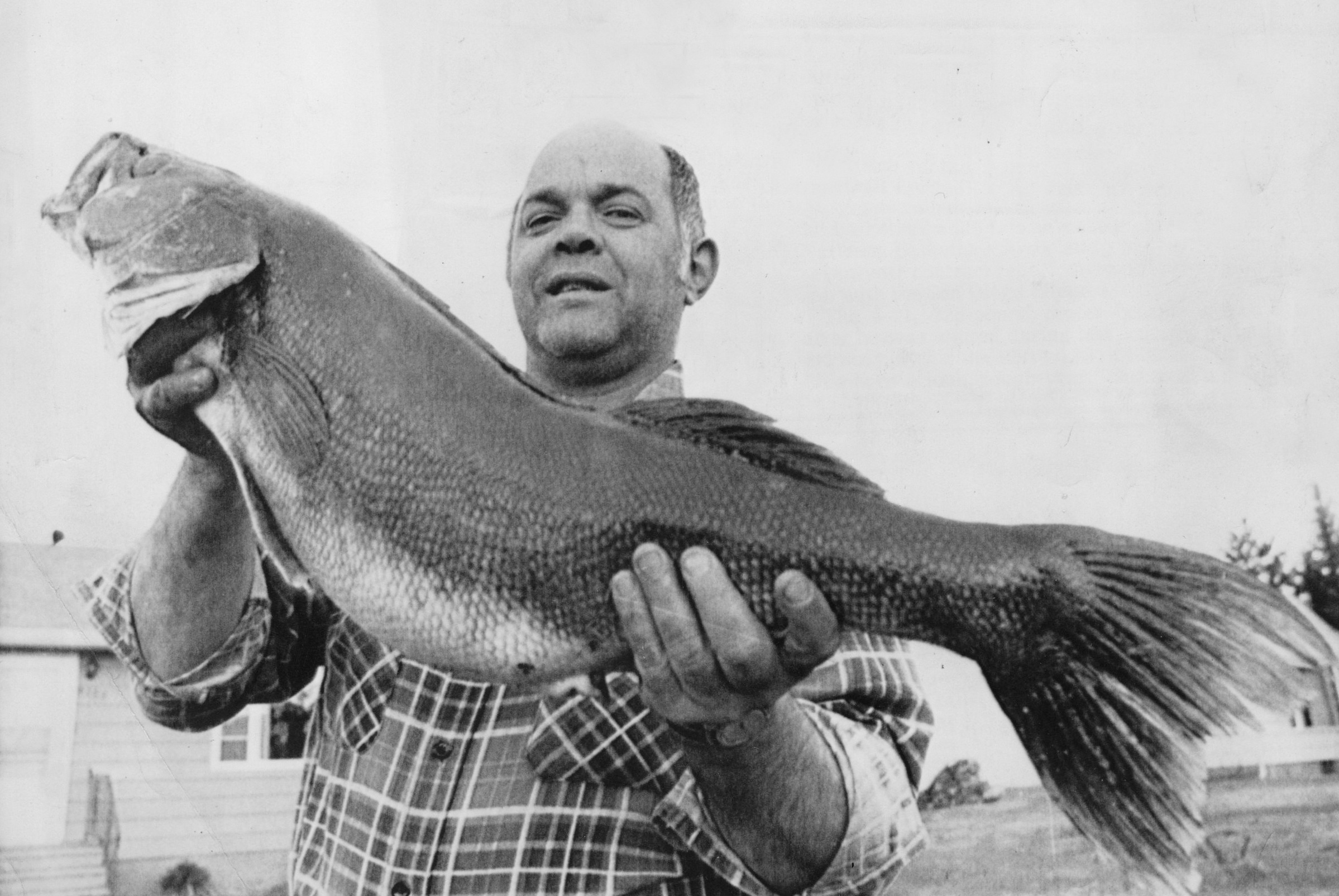 LeRoy Chiovitte’s long-standing state record walleye shouldn’t be ...
