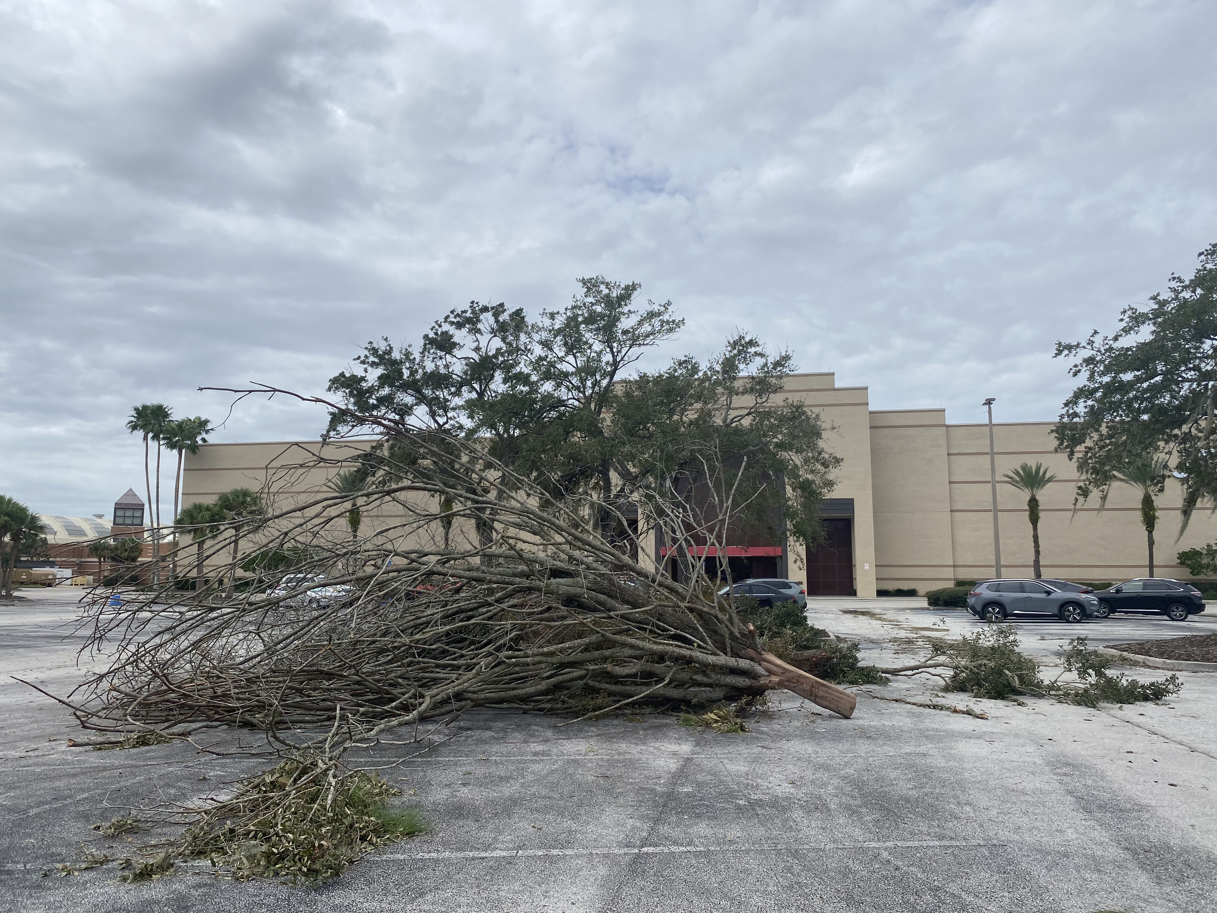 Brandon Mall Florida