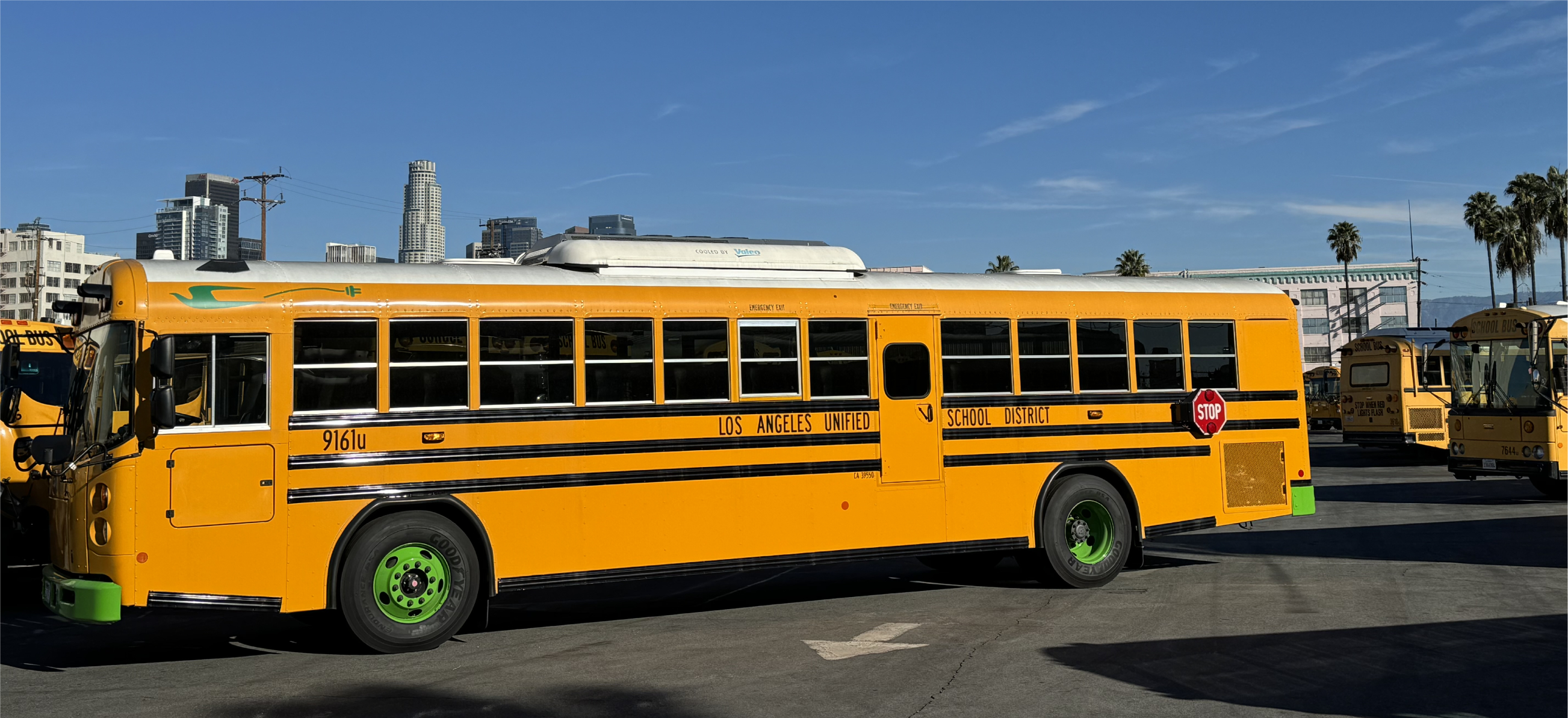 Miami Dade School Buses Miami Dade County Public Schools Bus Auction