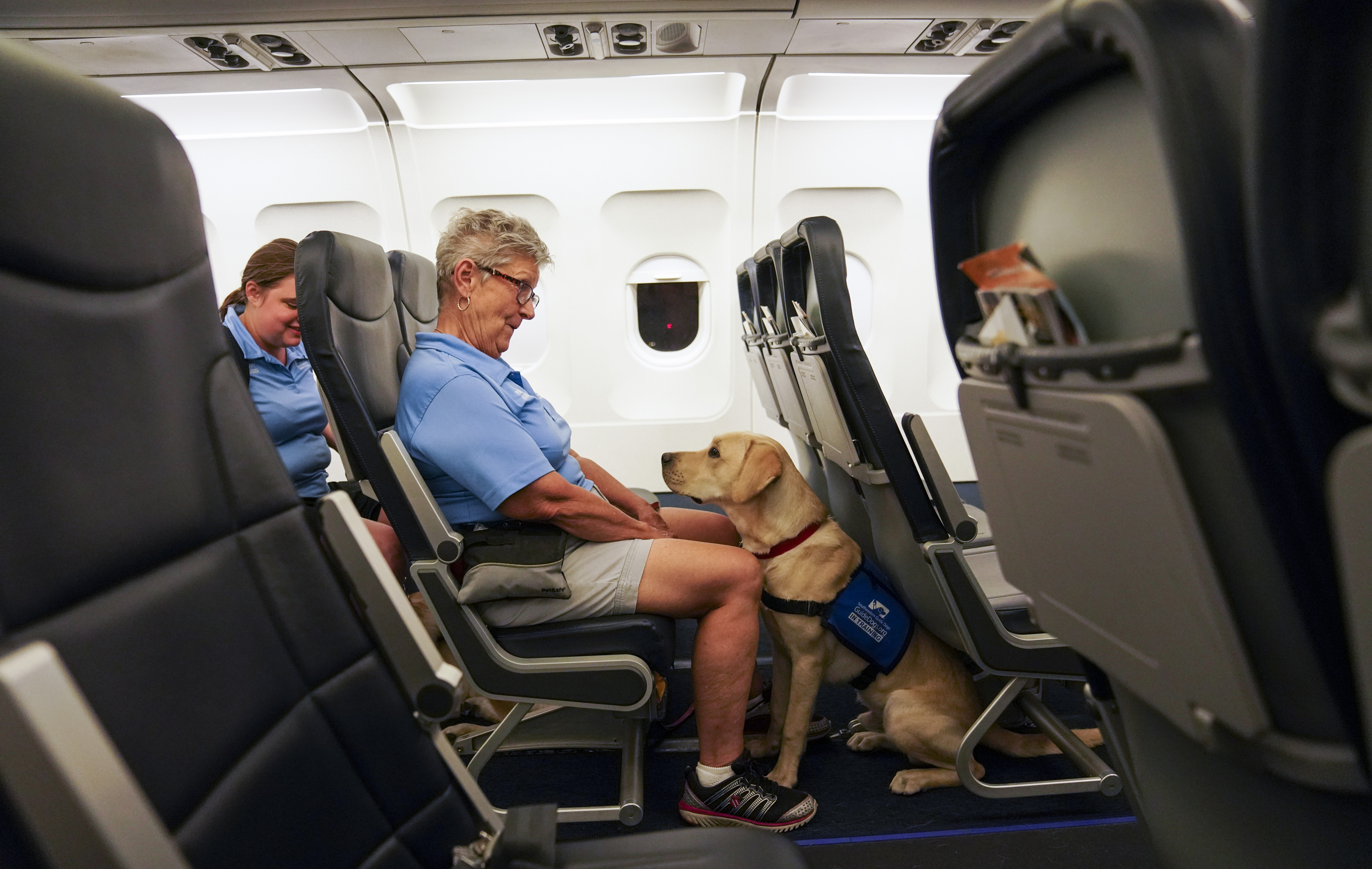 Are Guide Dogs Allowed On Planes