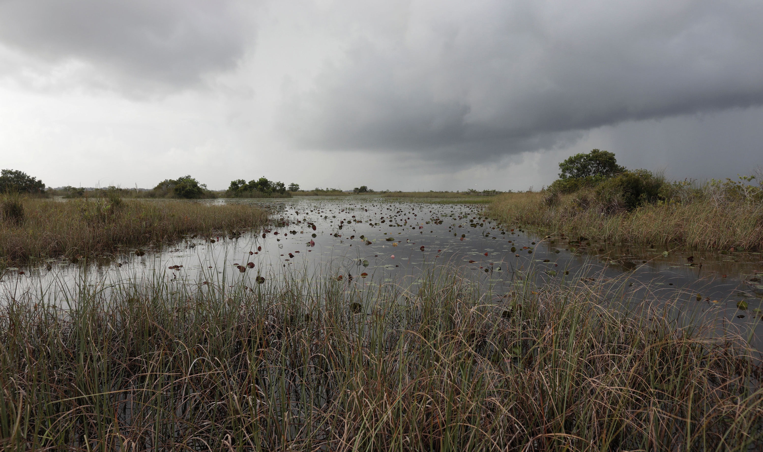 Florida Everglades Climate Poll: Support For Everglades Restoration,