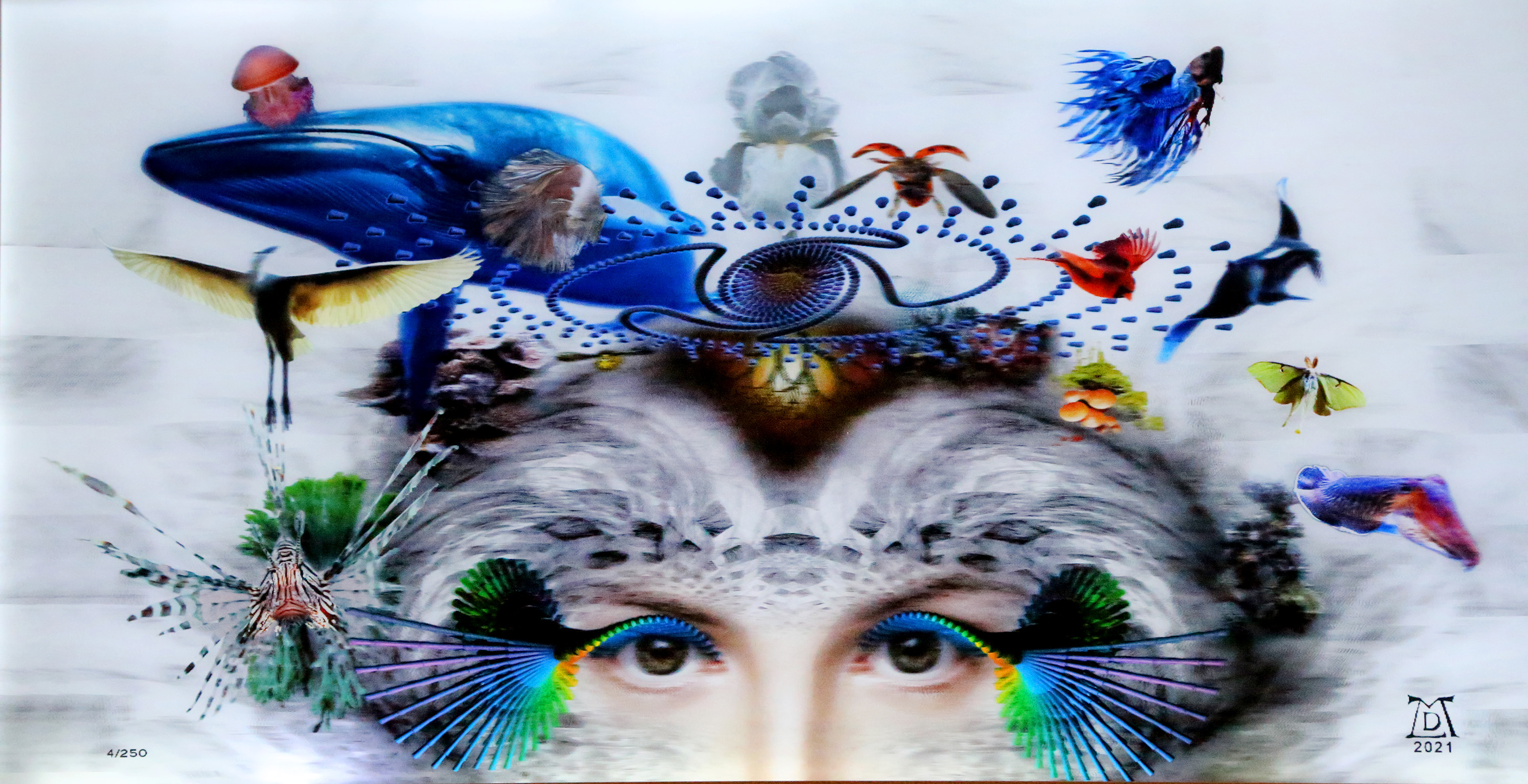 Example Artwork Mobile