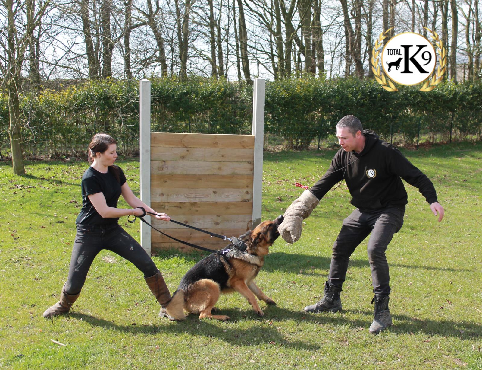 Which Dog Is Best For Protection