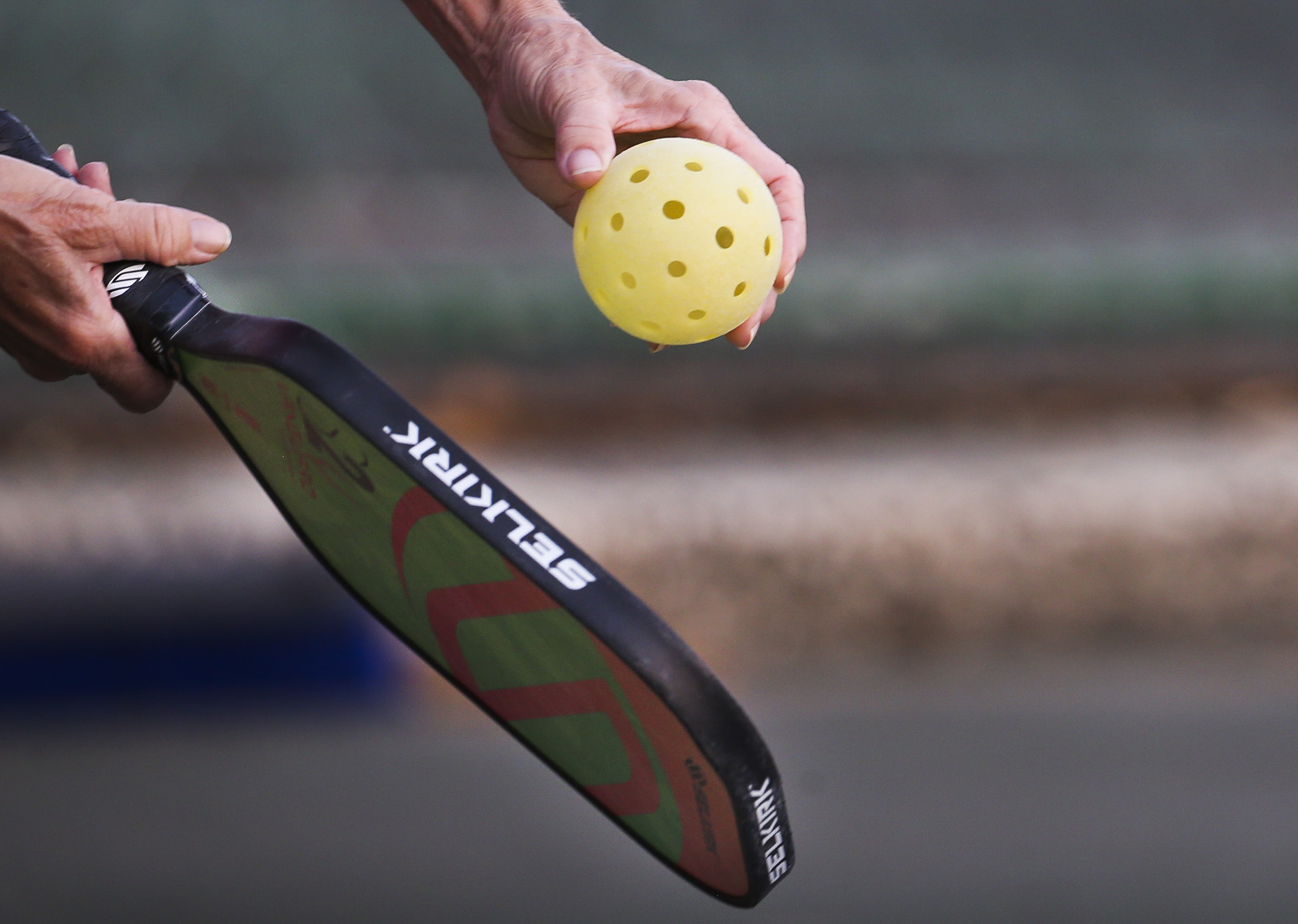 tampa bay pickleball photography, custom sports gift for team