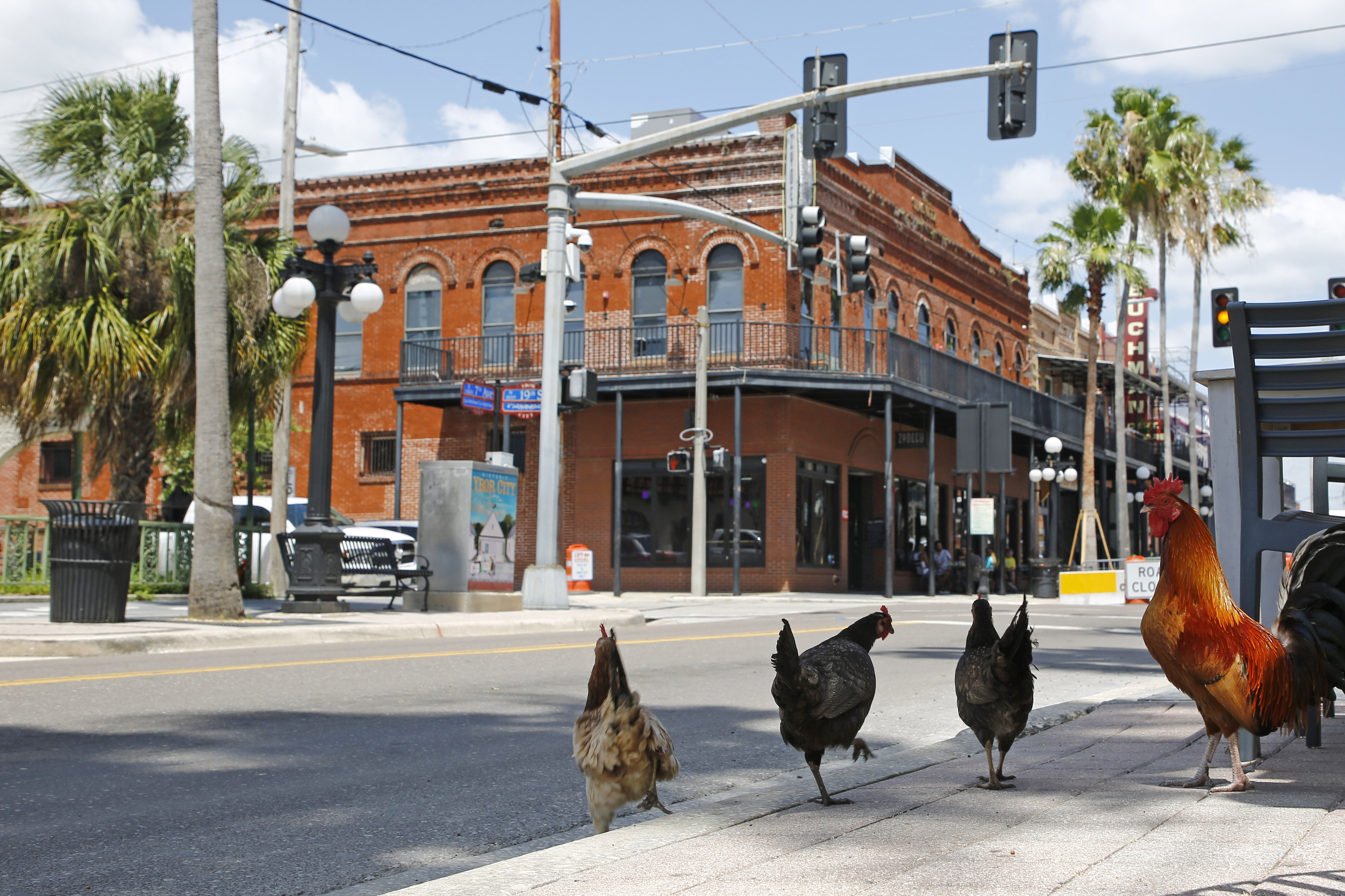 Ybor City