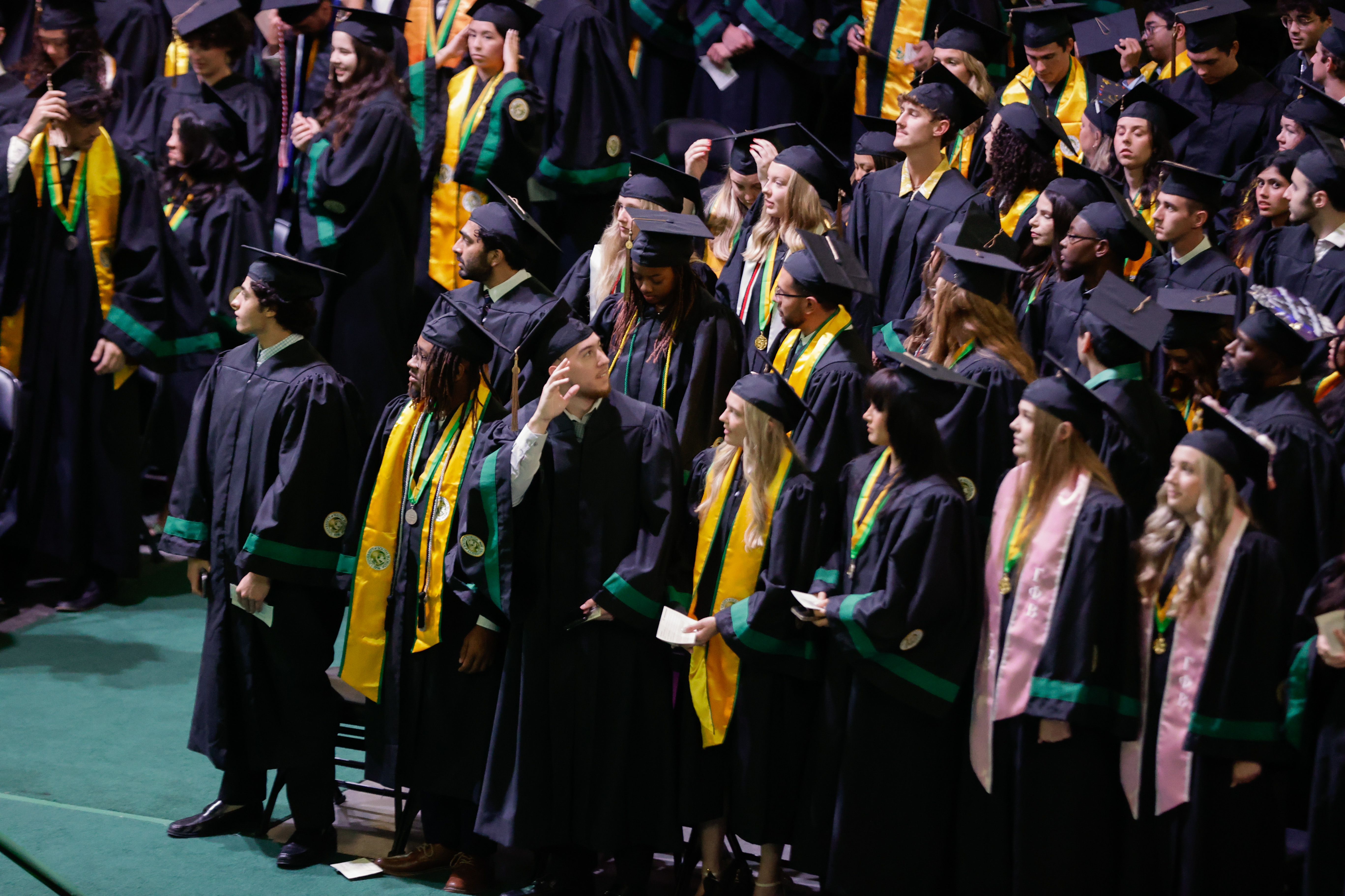 Usf Bachelor Graduation Ceremony Graduation Day At USF! Our...