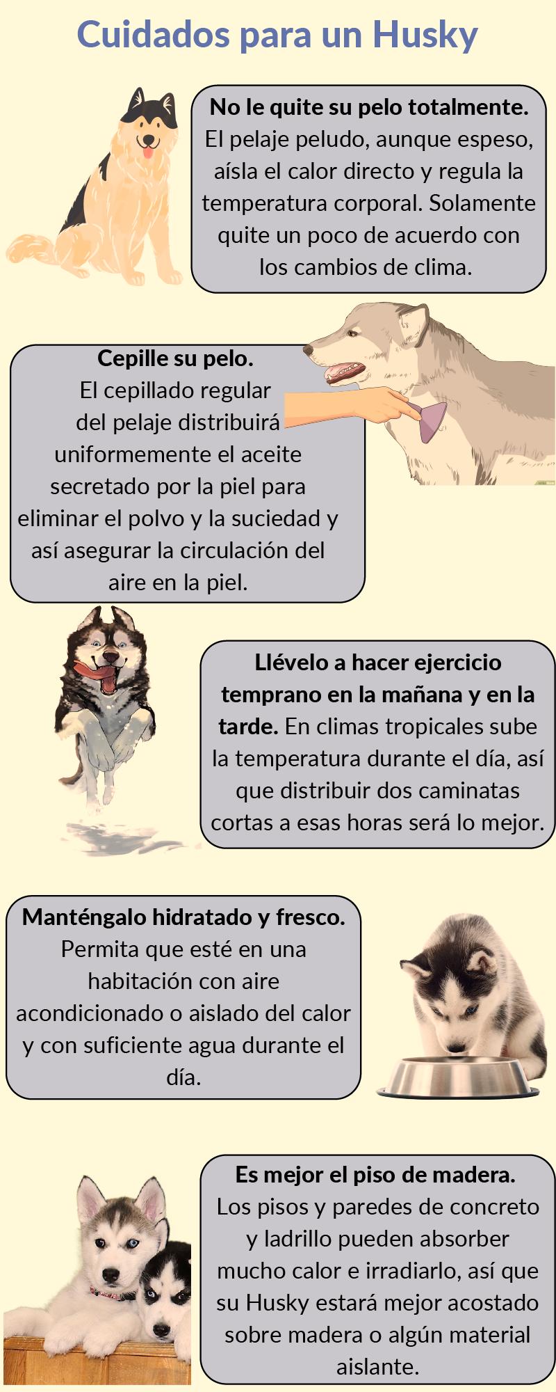 Cómo Mantener Un Husky Fresco En El Calor