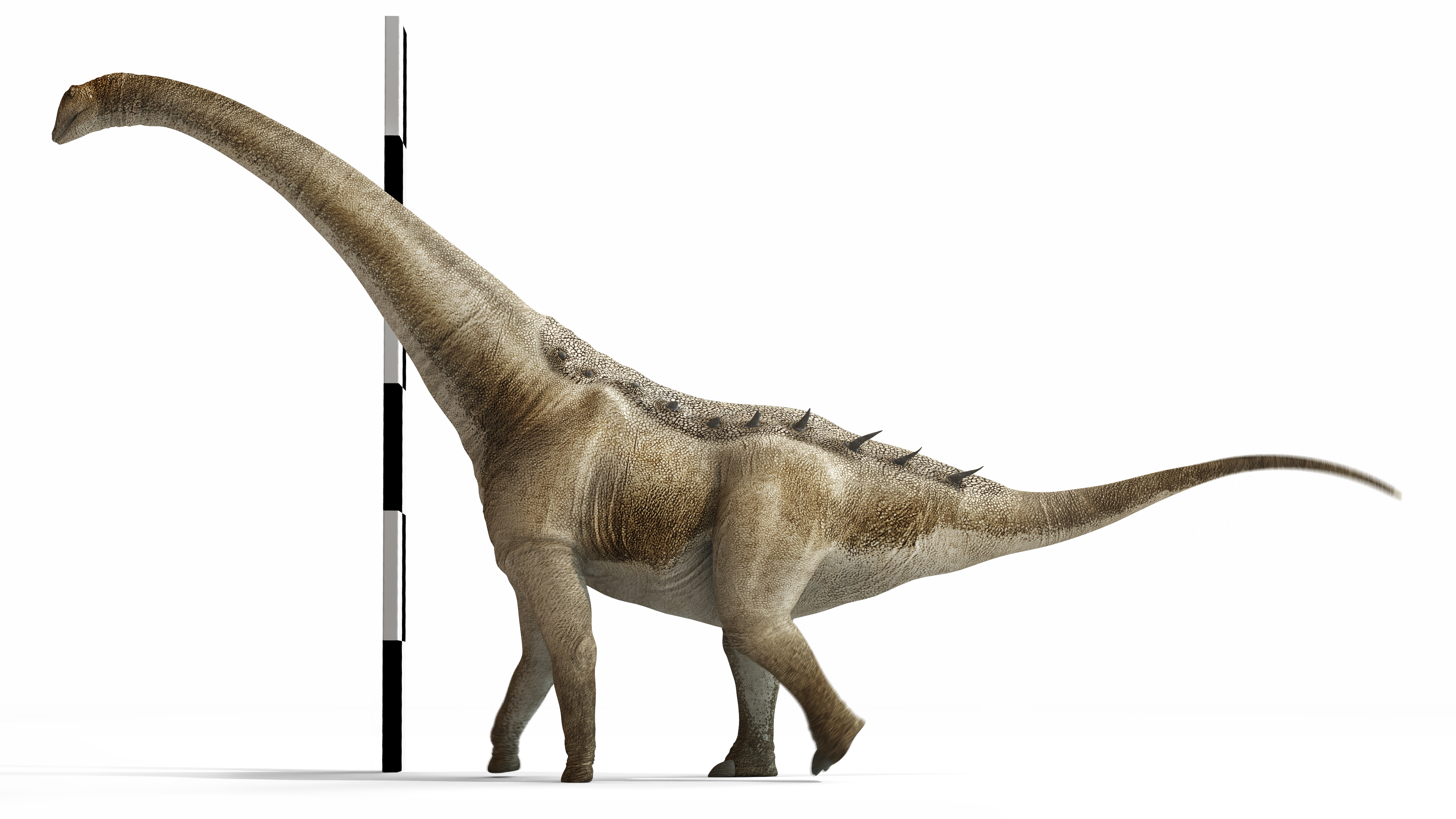 Esqueleto De Daanosaurus Zhangi Por Lista De Gêneros De Dinossauros