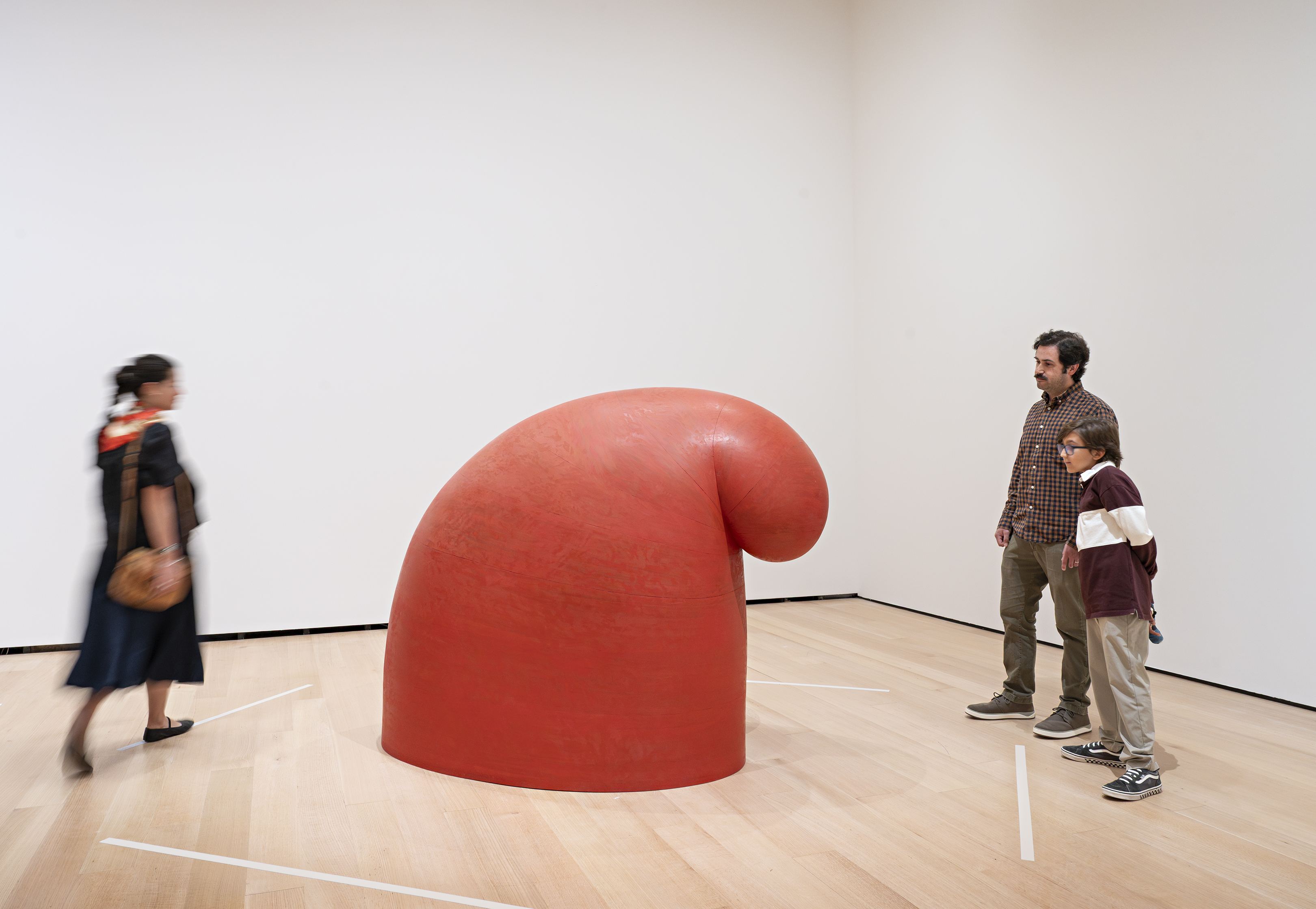 Martin Puryear Work