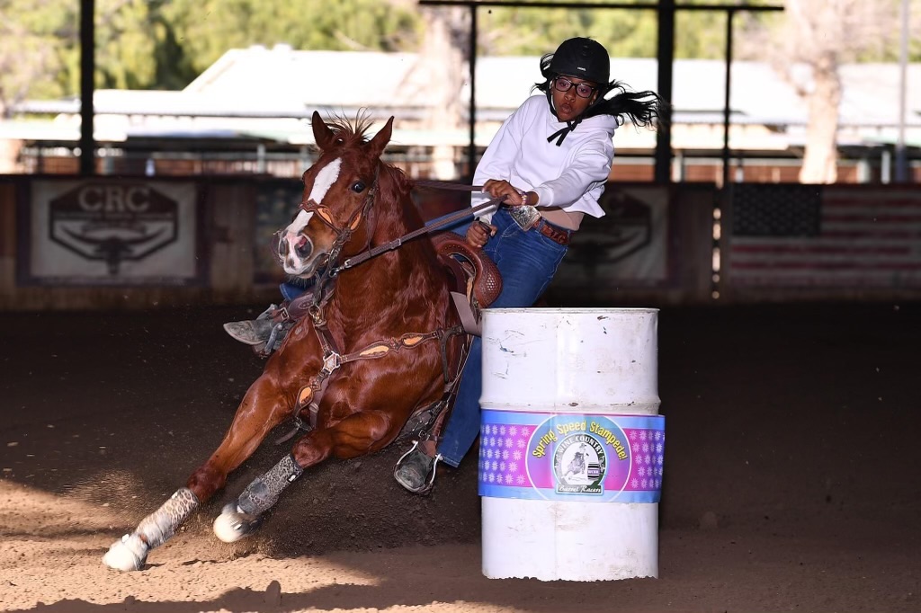 Zwarte Quarter Horse Barrel Racing Palomino Horses For Kids: Training